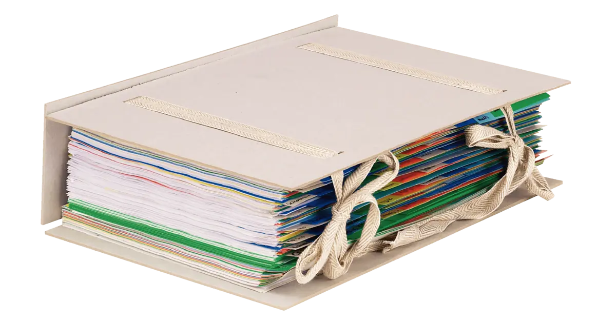 Esselte uitschuifbare map karton | ESSELTE