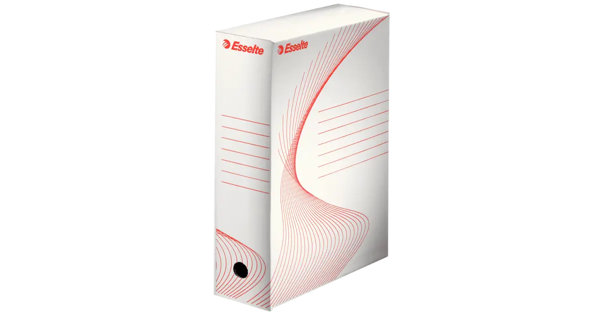 Pudło archiwizacyjne Esselte Standard, 100 mm | ESSELTE