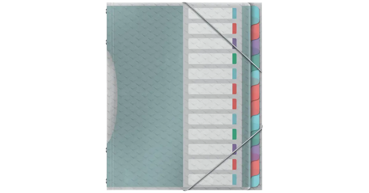 Esselte Colour'Breeze Divider Book with 12 Tabs | ESSELTE