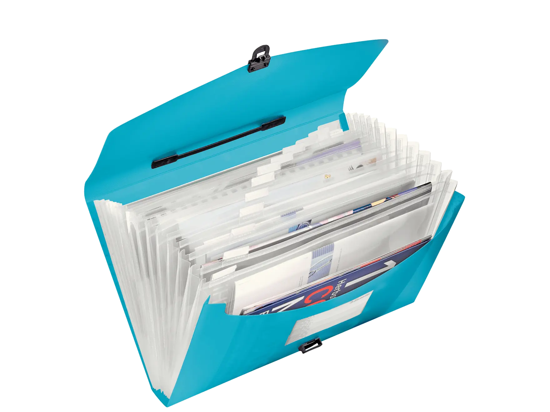 Farde de projets extensible VIVIDA Esselte avec poignée, translucide ...