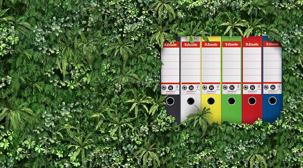 Esselte - spełnienie wszystkich Twoich potrzeb na artykuły biurowe